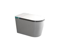 China Automatic Sanitary Ware Items , Black Bathroom Wc Intelligent Ceramic Toilet Bowl for sale