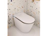 China Automatic Sanitary Ware Items , Black Bathroom Wc Intelligent Ceramic Toilet Bowl for sale