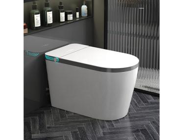 China Automatic Sanitary Ware Items , Black Bathroom Wc Intelligent Ceramic Toilet Bowl for sale