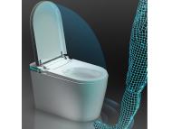 China Automatic Sanitary Ware Items , Black Bathroom Wc Intelligent Ceramic Toilet Bowl for sale