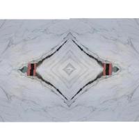 China Black Veins White Marble Panda White Wall Flooring Stairs Natural Marble Stone Slab for sale