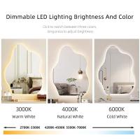 China Irregular Cloud Shaped Wall Hanging Decor Mirror Smart Led Wall Mirror For Bathroom for sale