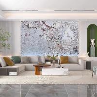 China Luxury Natural Quartzite Stone Slab Hotel Villa Living Room Wall Decor Kitchen Countertop for sale