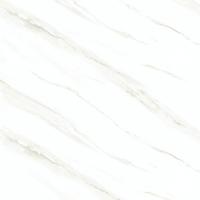 China 600X600 Standard Ceramic And Porcelain Tile  For Wall And Floor for sale