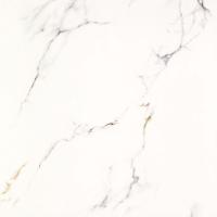 China 600X600 Standard Ceramic And Porcelain Tile  For Wall And Floor for sale