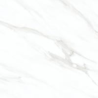 China 600X600 Standard Ceramic And Porcelain Tile  For Wall And Floor for sale