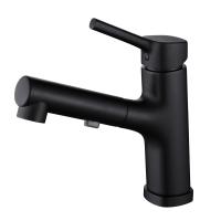 China T&F Polished Bathroom Faucet With Pull Down Sprayer Surface Mounted for sale