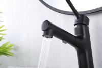 China T&F Polished Bathroom Faucet With Pull Down Sprayer Surface Mounted for sale
