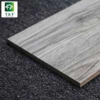 China Modern Light Gray Ceramic Tile 200x1000mm with  5 years Warranty for sale