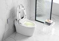 China Intelligent Tankless Bidet Smart Toilet Sanitary Ware 680x400x465mm for sale