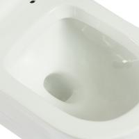 China 700x630x370mm Electronic Bidet Toilet Bowl Auto Cleaner Seat Smooth glazed surface for sale
