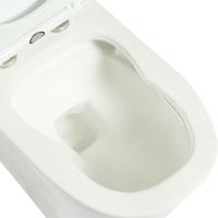 China Bowl One Piece Water Closet  Jet Siphonic Flushing Compact Elongated Toilet for sale