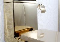 China Water Saving Sanitary Gold Toilet Set Washdown Flushing 720x370x800mm for sale