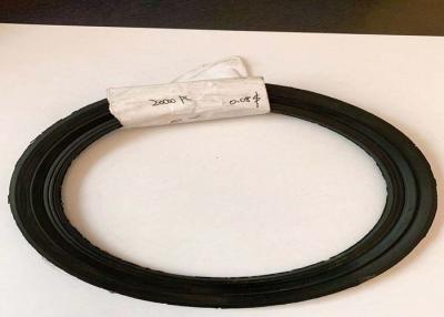 China Corrosion Resistant Air Filter Seal , black rubber o rings 10 - 25Mpa for sale
