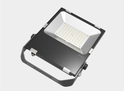 China AC85V 100Lm/W 80W Led Outdoor Flood Lights for sale