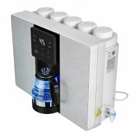 China 5 Stage RO Water Purification System with 100°C Boiling Function 5L Tank for sale