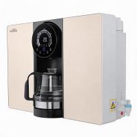 China All in One RO Water Purifier Boiling System 5 Stage 100°C Detachable Kettle 220V for sale