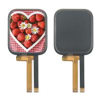 China Wearable Transparent SPI TFT LCD Screen Module 240x280 With Capacitive Touch Panel for sale