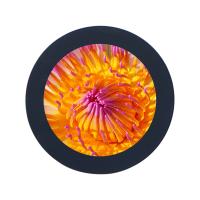 China 480x480 Round TFT Display 2.1 LCD Module With 40pin 18 BIT RGB Interface Touch Screen for sale