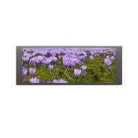 China 6.86 Inch 480x1280 IPS Bar LCD Display MIPI TFT Stretched Screen With Touch Panel for sale