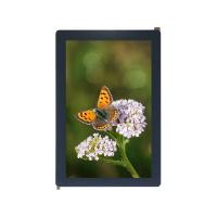 China 800x1280 WXGA Screen TFT LCD IPS Display MIPI Panel With Capacitive Touch 8 Inch for sale