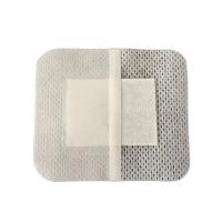 China Medical Non Woven Adhesive Wound Dressing Tape 10cm x 10cm Sterile for sale