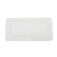 China Bluenjoy Surgical PU Foam Dressing 10x10cm Adhesive Disposable Exudate Absorbing Wound Care for sale