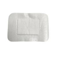 China Medical Foam Dressing for Pressure Ulcers 10x10cm Silicone Adhesive Wound Care for sale