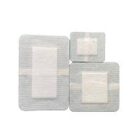 China Adhesive Antimicrobial Foam Dressing Medical Silicone Sheet 4x5cm for Pressure Ulcer for sale