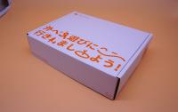 China FSC Pizza Sustainable Shipping Boxes , Mailer Box With 400g C1S Material CMYK PMS Printing for sale