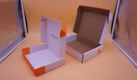 China FSC Pizza Sustainable Shipping Boxes , Mailer Box With 400g C1S Material CMYK PMS Printing for sale