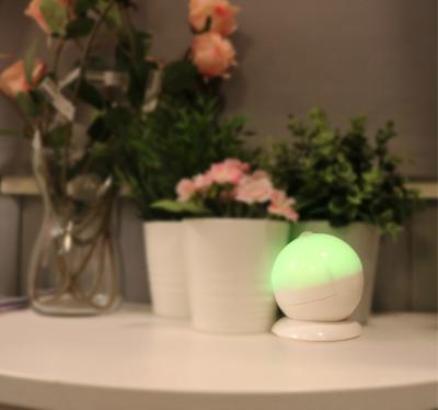 China Multi - Application Safety Childrens Night Lights , Indoor Motion Sensor Light For Bedroom for sale