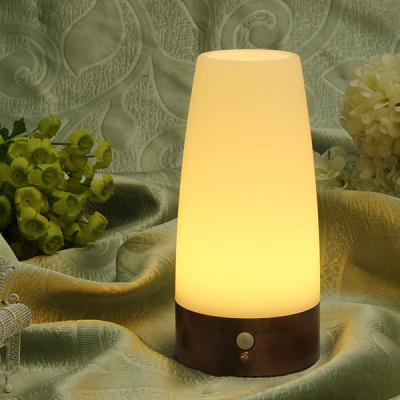 China High Brightness Wireless LED Night Light For House Decoration Long Life for sale