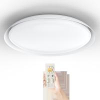 China White Battery Powered LED Lights / Plastic LED Ceiling Lights For Homes for sale