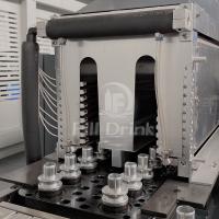 China 2 Cavity Semi Automatic Pet Bottle Blowing Machine 2200-2800BPH for sale