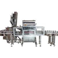 China VFD Control Piston Filling Machine Sauce Filling Equipment Conveyor Speed Control for sale