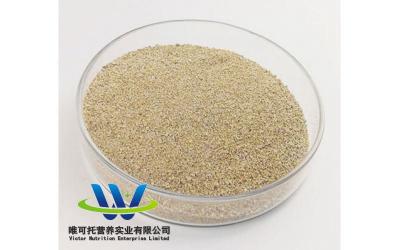 China White L-Threonine Powder for Feed Additives at Affordable CAS Number 72-19-5 for sale