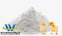 China QS Certified L-Lysine Hydrochloride 98.5% Fodder Additive for Animal Feed Efficiency for sale