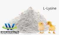 China Feed Grade HCl Sulfate L Lysine 98.5% 70% Feed Additive Grade for Customized Request for sale
