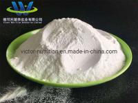 China Paper Packaging Material Vitamin C Sodium Salt Food Additives FCC/USP/BP/EP Certified for sale
