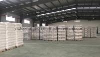 China Paper Packaging Material Vitamin C Sodium Salt Food Additives FCC/USP/BP/EP Certified for sale