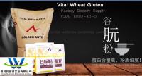 China Natural Additive Vital Wheat Gluten Fine Powder for Puffed Food CAS No. 8002-80-0 for sale