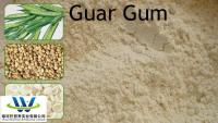 China Elevate Your Drinks with Fiber Finished Bulk Mill Food Garde Guar Gum 99% Purity for sale