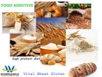 China Vital Wheat Gluten Powder for Puffed Food Composite Bulking Agents Directly Supply for sale