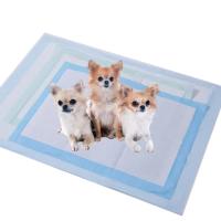 China Extra Large Pet Training Pads 60x90 cm Disposable Puppy Pee Pads with 6g SAP FSC Certified for sale