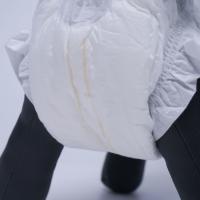 China Disposable Pet Diapers for Female Dogs - 6 Sizes from XXS to XL, 11-25 Inch Length, Customizable OEM Options for sale