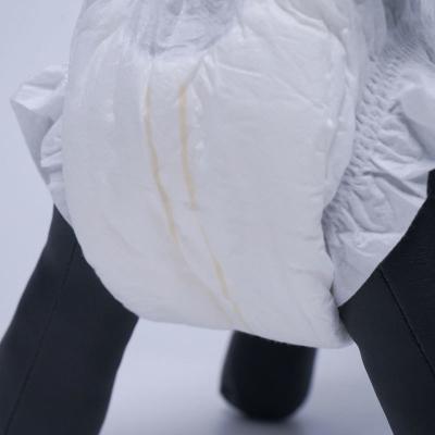China Disposable Pet Diapers for Female Dogs - 6 Sizes from XXS to XL, 11-25 Inch Length, Customizable OEM Options for sale