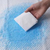 China Extra Large Pet Training Pads 60x90 cm with 6g SAP Core - Leak Proof Disposable Potty Pads for Dogs & Cats for sale