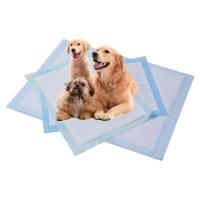 China Eco Friendly Pet Training Pads 60x90cm with 6g SAP High Absorbency for Dogs for sale