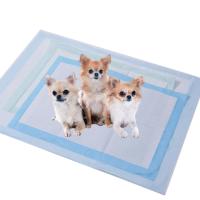 China Non-Woven Disposable Pet Pee Pads 45x60cm & 60x90cm with 35-70g Weight for Overnight Use for sale